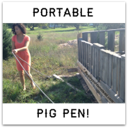How to Use a Pig Tractor, Portable Pig Pen - Realize Permaculture Homestead